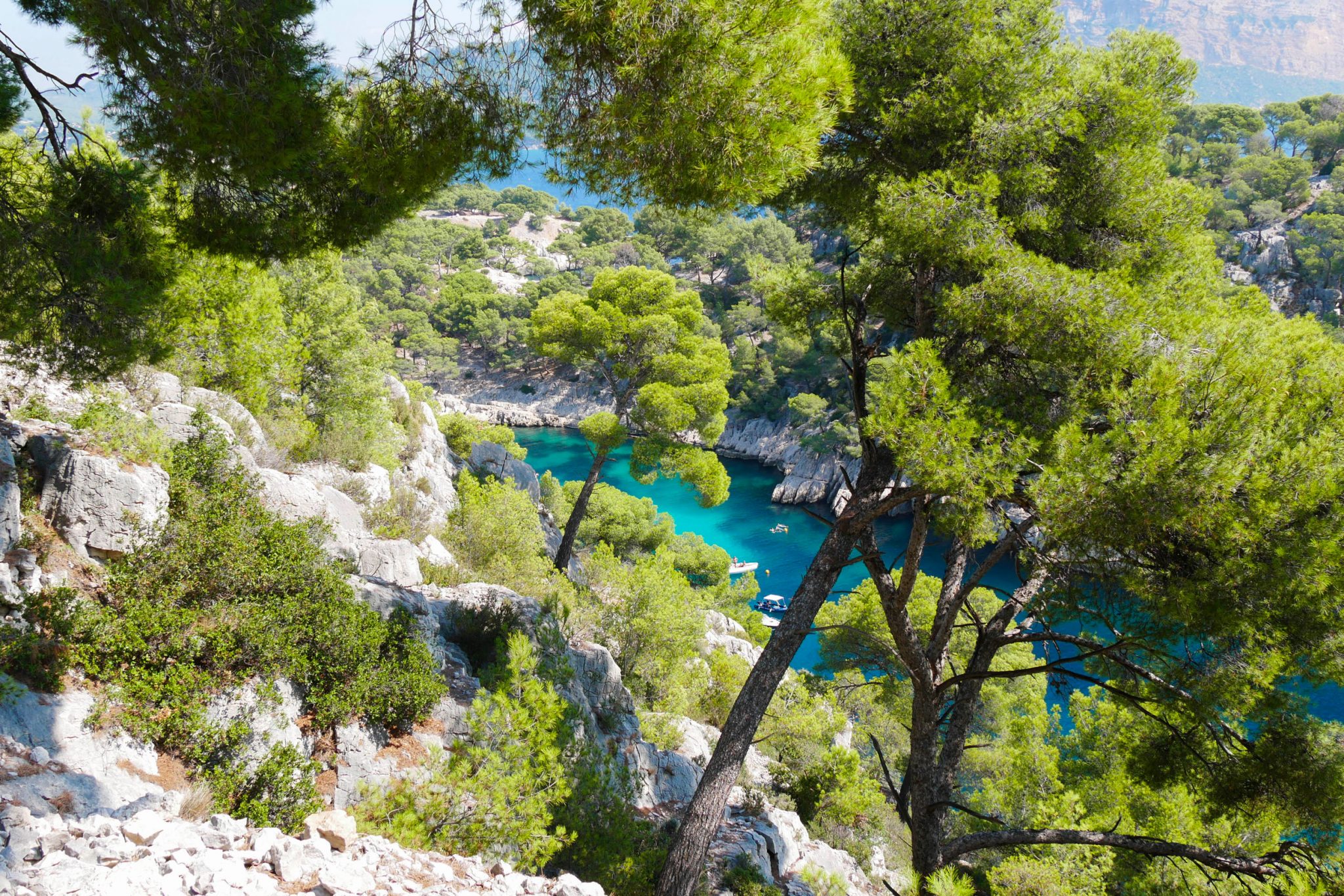 Visiter les calanques de Cassis par la mer et la terre - Onyvatravel