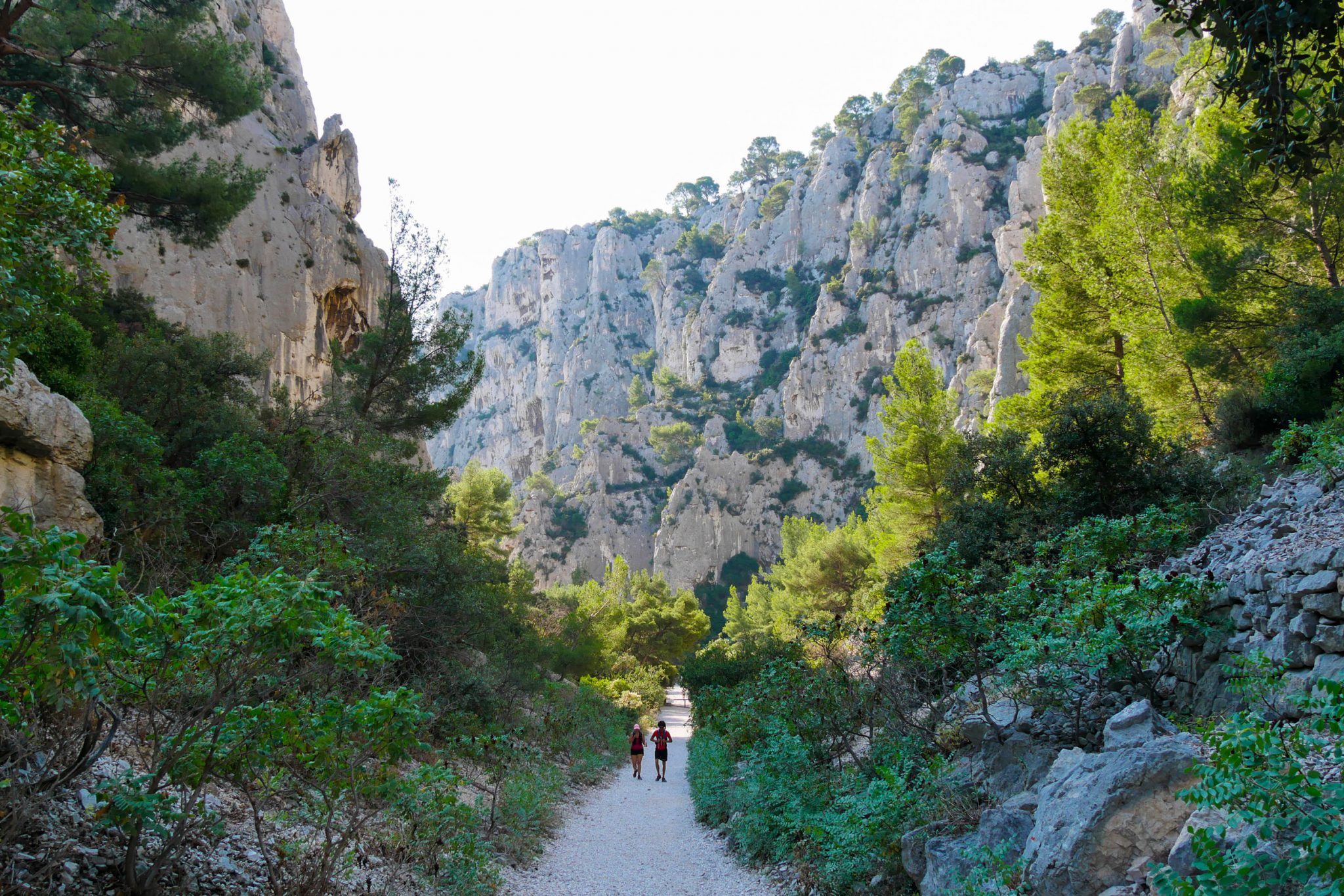 Visiter les calanques de Cassis par la mer et la terre - Onyvatravel