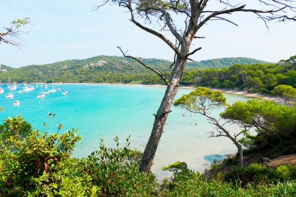Visiter les calanques de Cassis par la mer et la terre - Onyvatravel