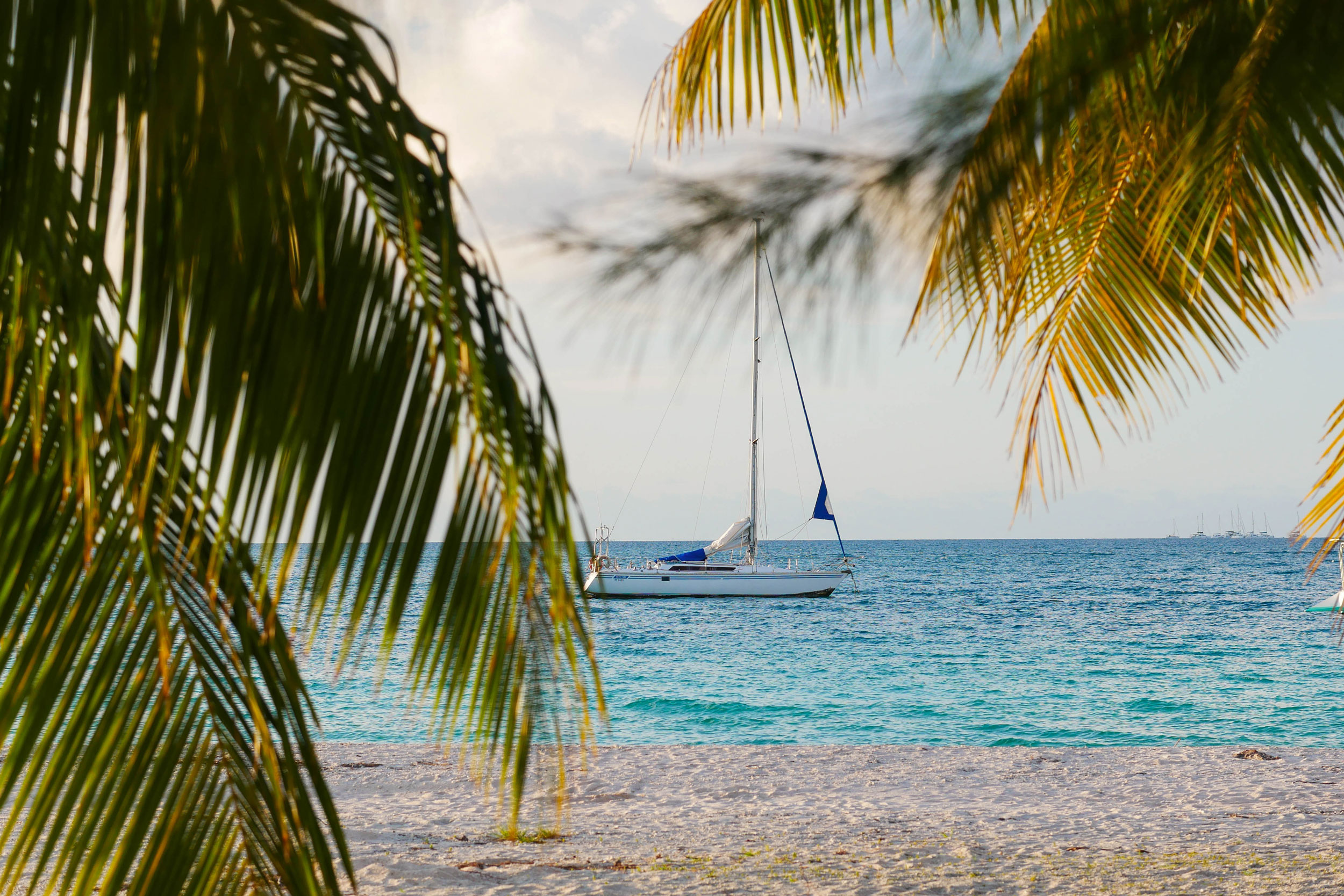 3 jours à Tikehau - Onyvatravel