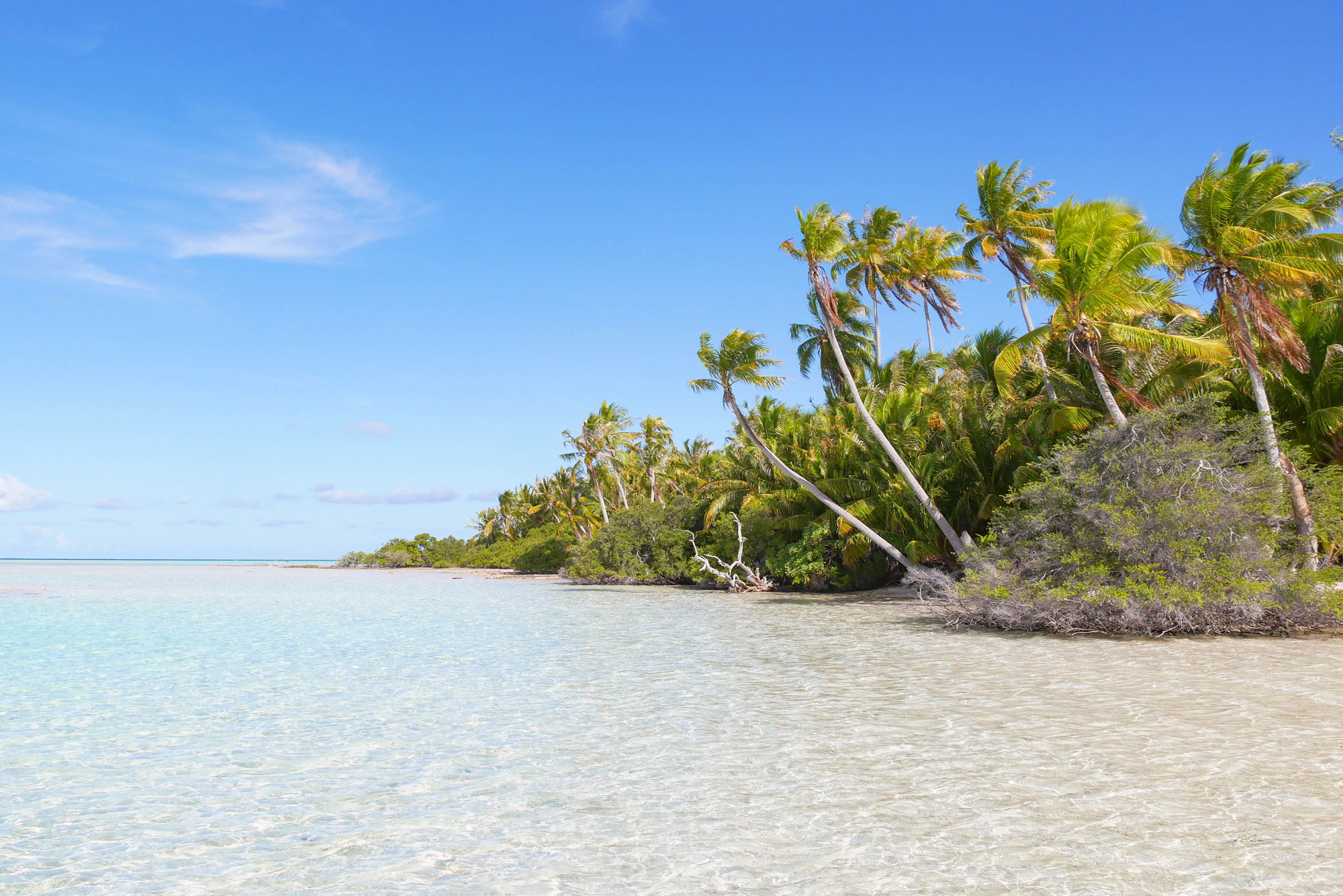 3 jours à Rangiroa - Onyvatravel